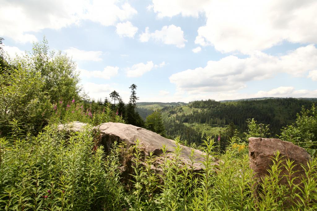 Wellnesshotel & Restaurant im Schwarzwald - Hotel Schliffkopf